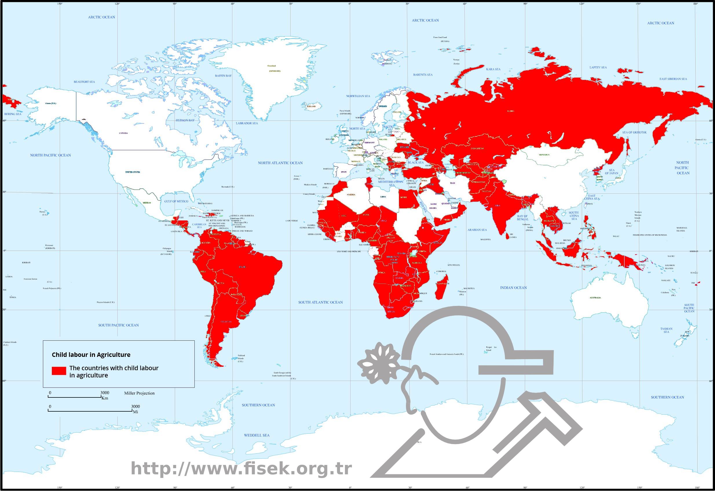 Atlas | Fisek Institute Science & Action Foundation for Child Labor